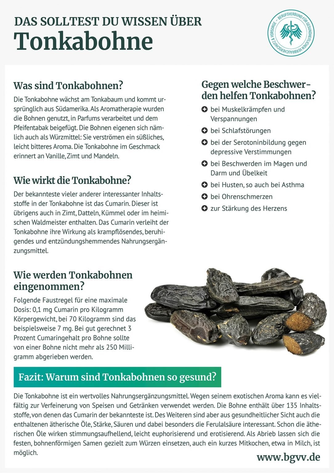 ️ ️ Tonkabohne - Entdecke das gesunde Geschmackswunder